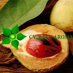 Minyak Pala (Nutmeg Oil) - CV.Ratu Aroma